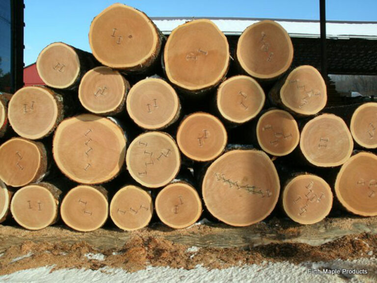 American Black Cherry - Firth Hardwood Export Logs