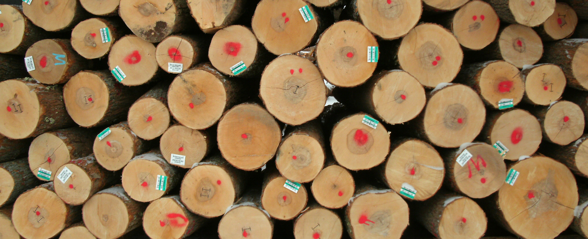 Hardwood Export Logs and Lumber - Firth Hardwood Export Logs