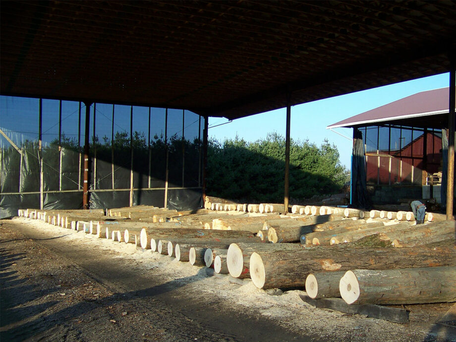 Hard Maple - Firth Hardwood Export Logs