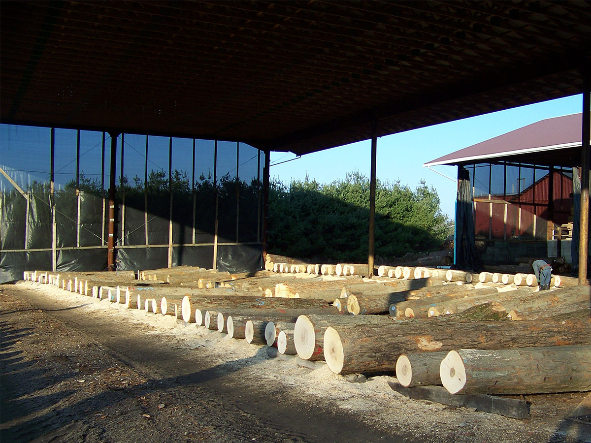 Hard Maple - Firth Hardwood Export Logs