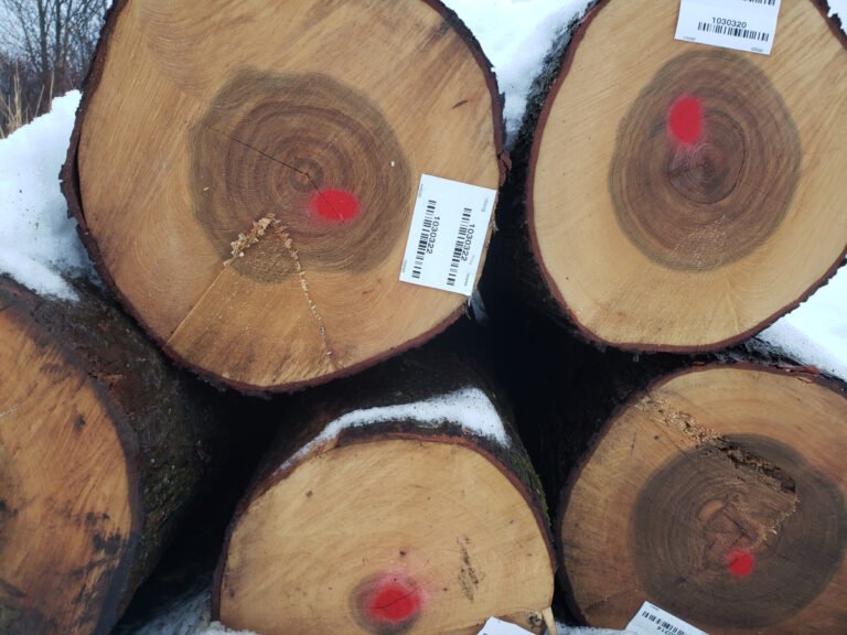 Additional Species - Firth Hardwood Export Logs