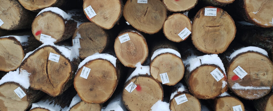 Hardwood Export Logs and Lumber - Firth Hardwood Export Logs